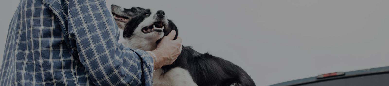 Veterinary Discount Program